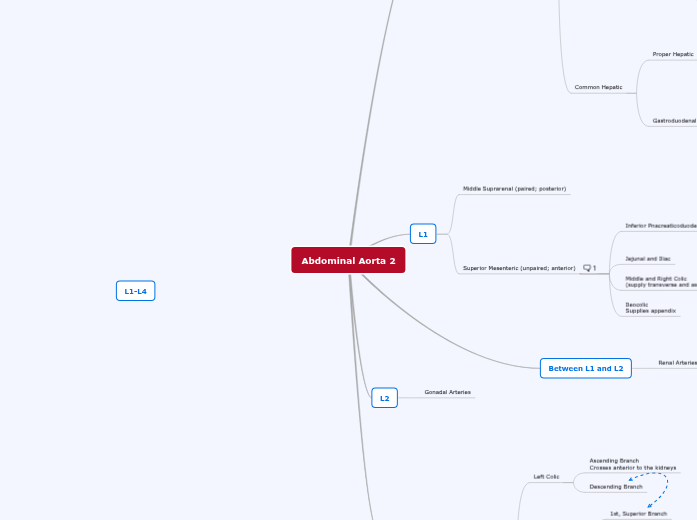 Abdominal Aorta 2 - Mind Map