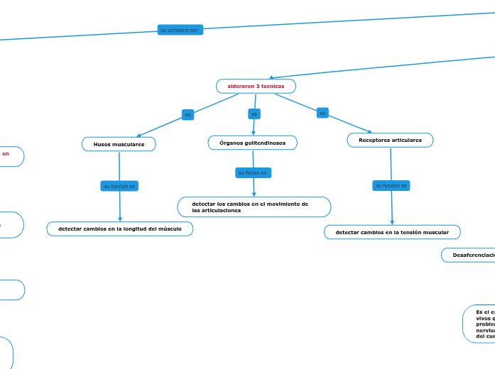 COMPONENTES SENSORIALES DEL CONTROL MOT...- Concept Map