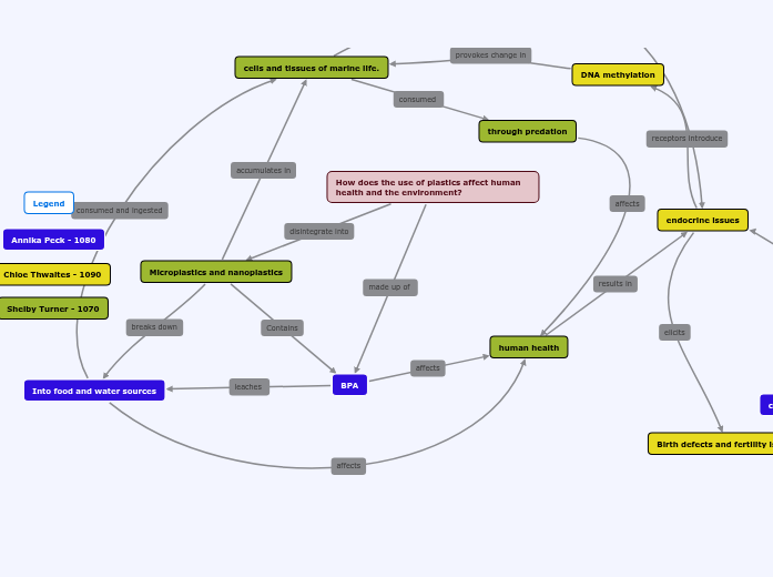 How does the use of plastics affect human ...- Mind Map