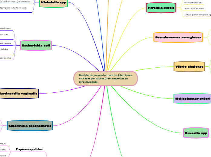 Medidas de prevención para las infecciones...- Mind Map