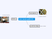 carte mentale graffiti EPI - Mind Map