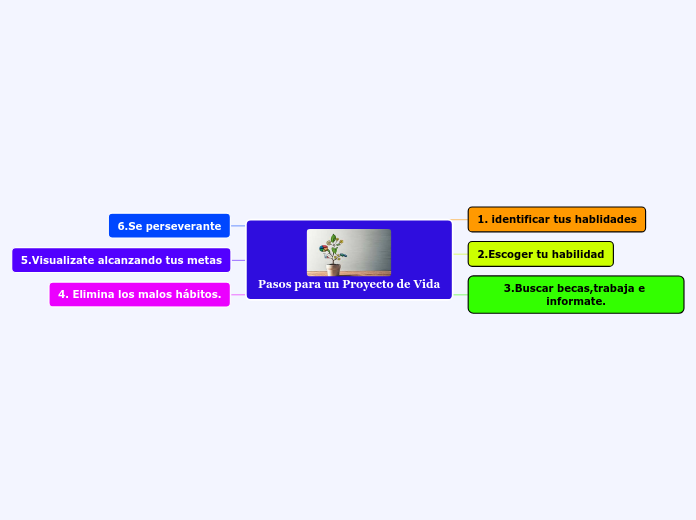 Pasos para un Proyecto de Vida - Mind Map