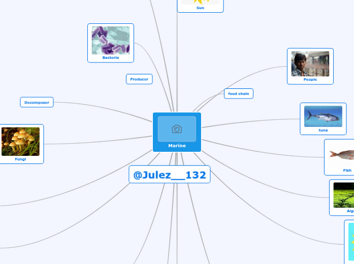 Marine - Mind Map