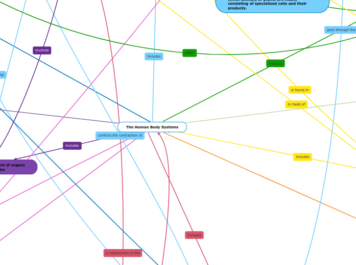 The Human Body Systems - Mind Map