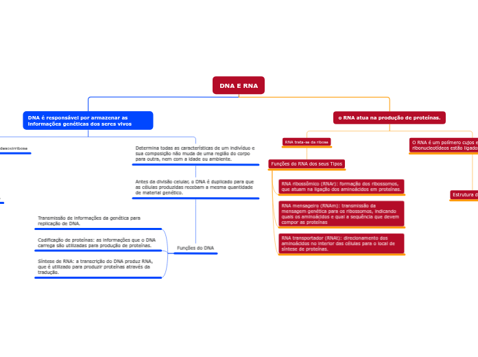 DNA E RNA - Mind Map