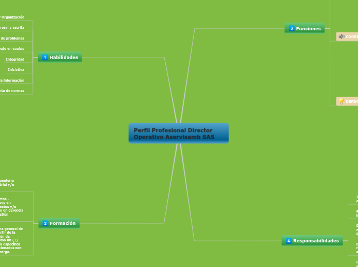Perfil Profesional Director Operativo Aser...- Mind Map