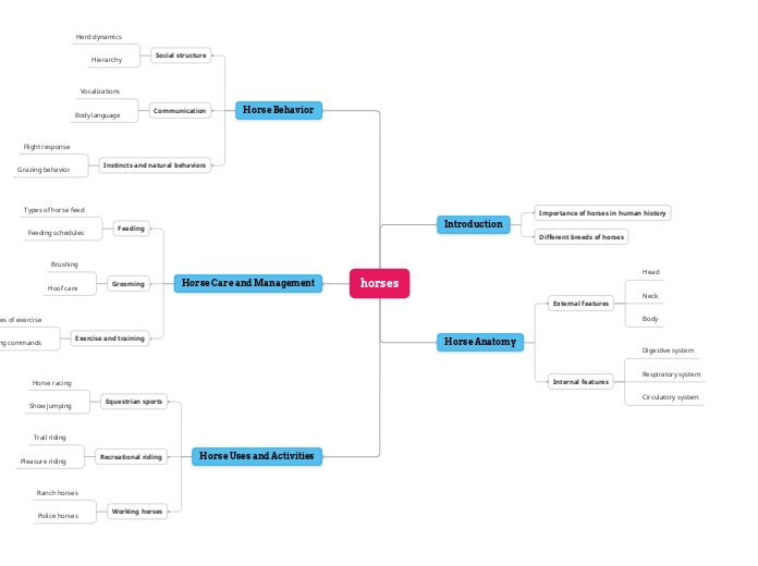 horses - Mind Map