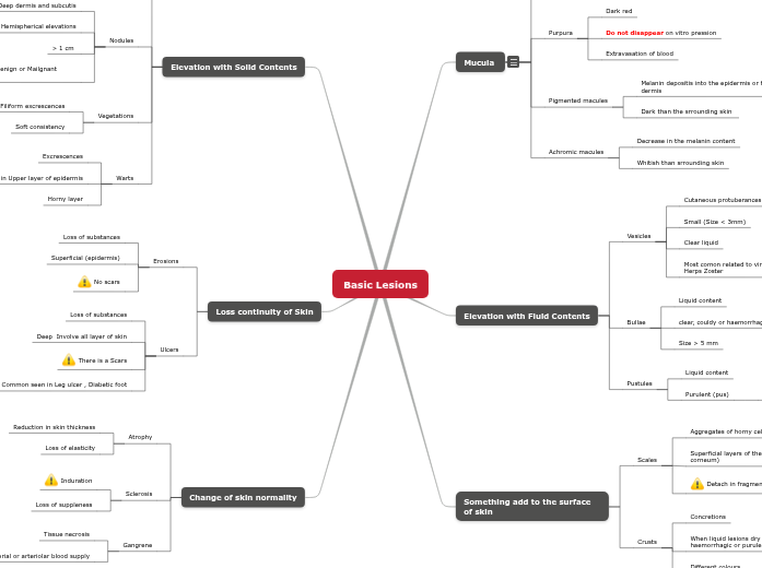 Basic Lesions of The Skin - Mind Map