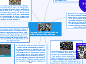congestion en las vias publicas - Mind Map