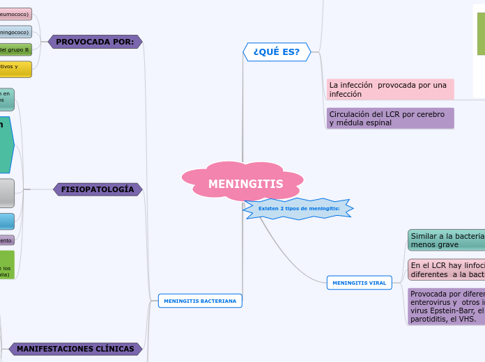 MENINGITIS - Mind Map