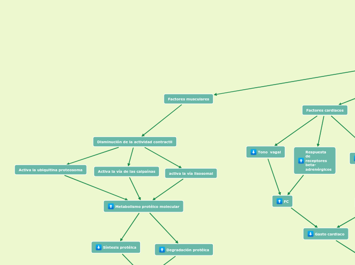 LUPUS ERITEMATOSO SISTÉMICO - Mind Map
