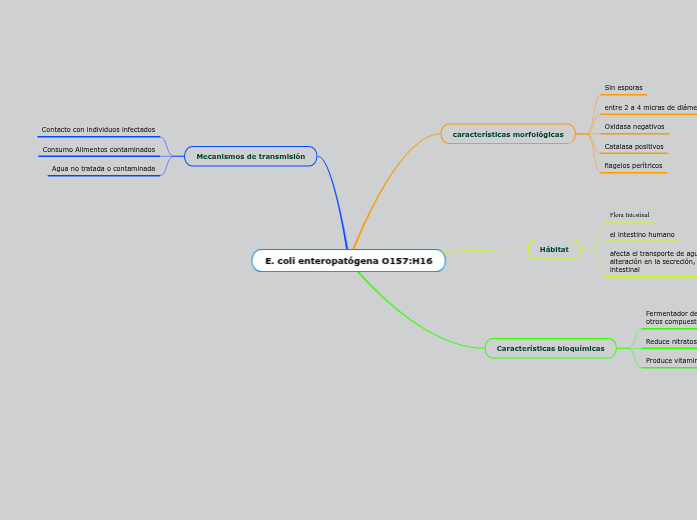 E. coli enteropatógena O157:H16 - Mind Map