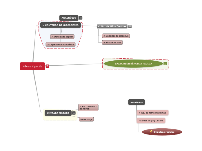 Fibras Tipo 2b - Mind Map