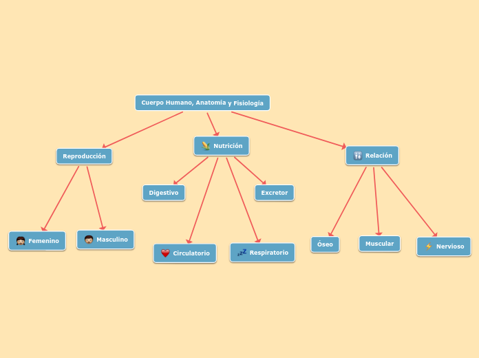 Cuerpo Humano, Anatomía y Fisiología - Mind Map