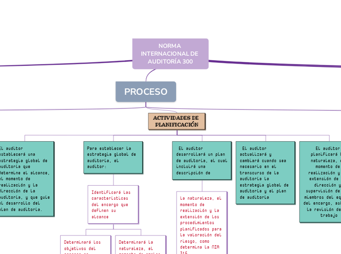 NORMA INTERNACIONAL DE AUDITORÍA 300 - Mind Map