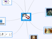 Magnetismo - Mind Map