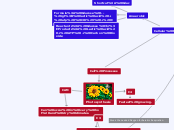 Cell Processes - Concept Map