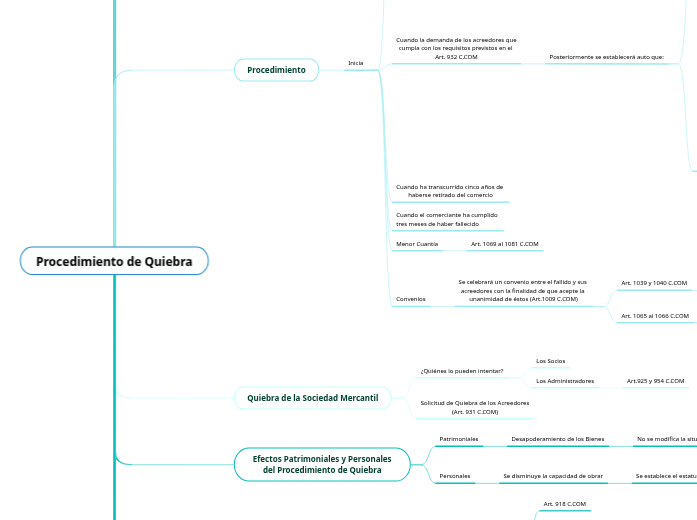 Procedimiento de Quiebra - Mind Map