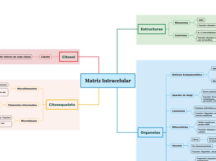 Matriz Intracelular - Mind Map