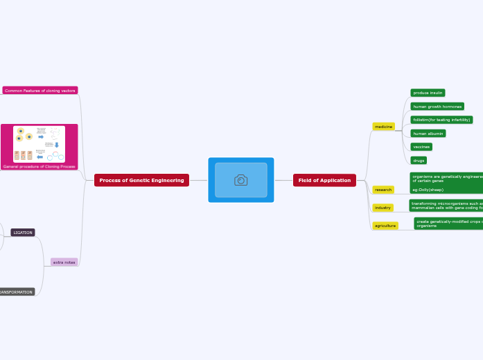 Genetic Engineering - Mind Map