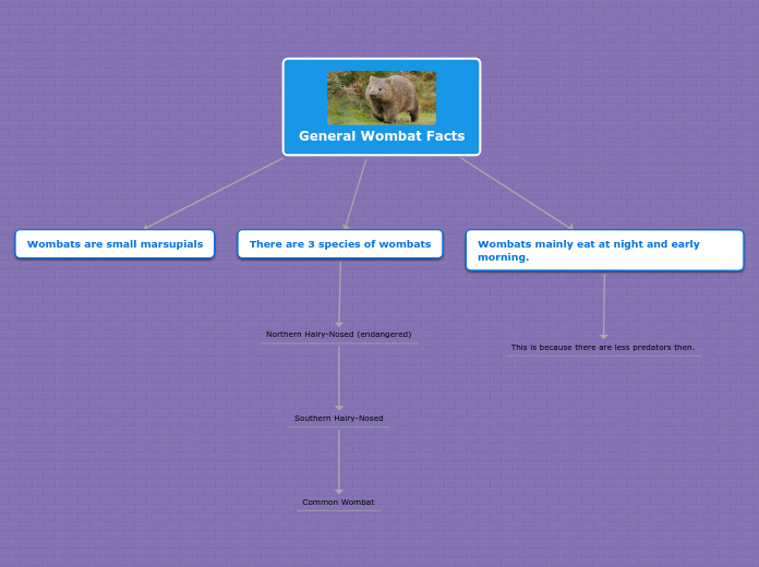 Basic Wombat Facts - Mind Map