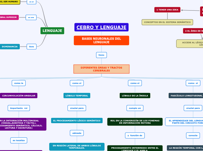 CEREBRO Y LENGUAJE - Concept Map