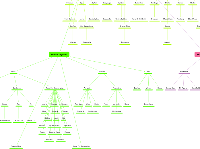 Kingdoms - Mind Map