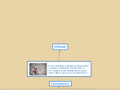 Tarea 1 ciclo fin - Concept Map