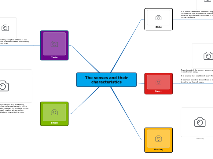 The senses and their characteristics - Mind Map