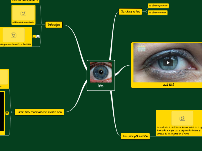 iris - Mind Map