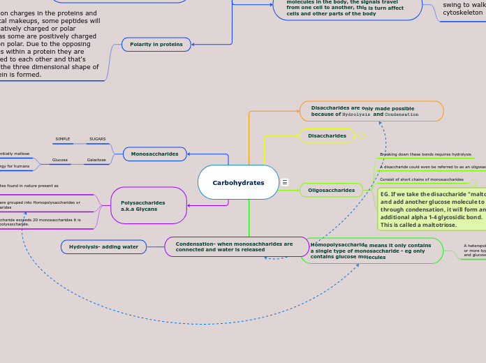 Carbohydrates - Mind Map