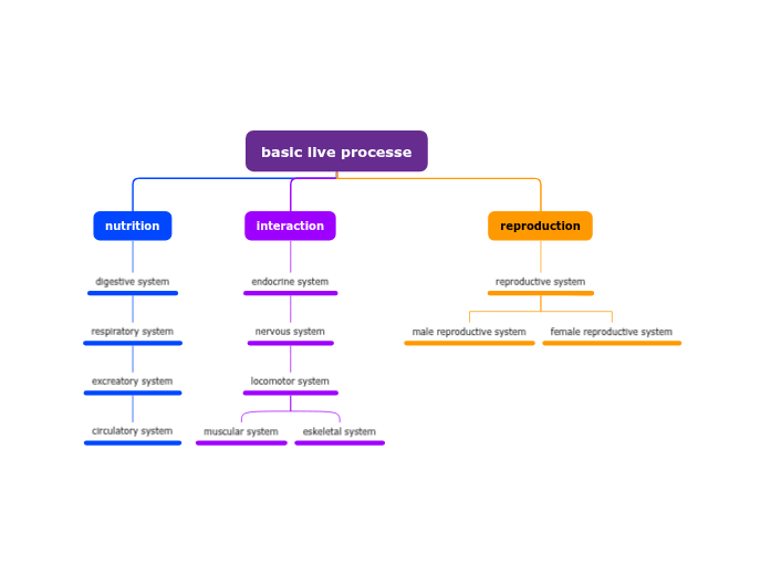 basic live processe - Mind Map