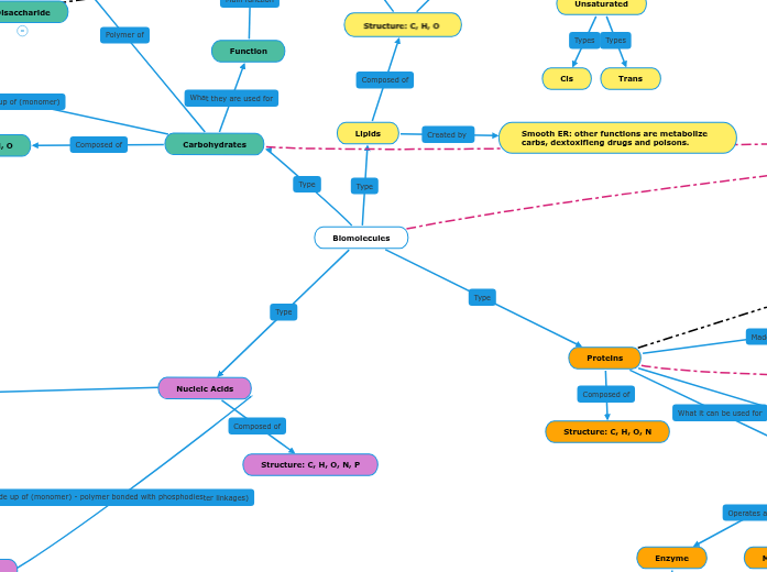 Final Concept Map - Mind Map