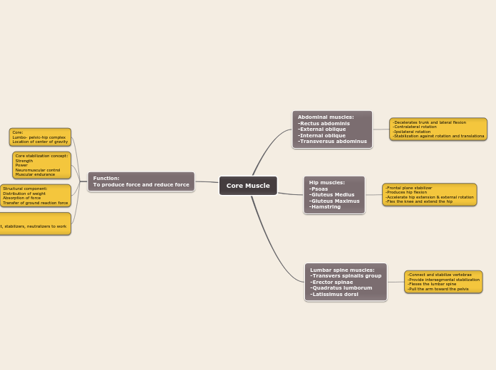 Core Muscle - Mind Map