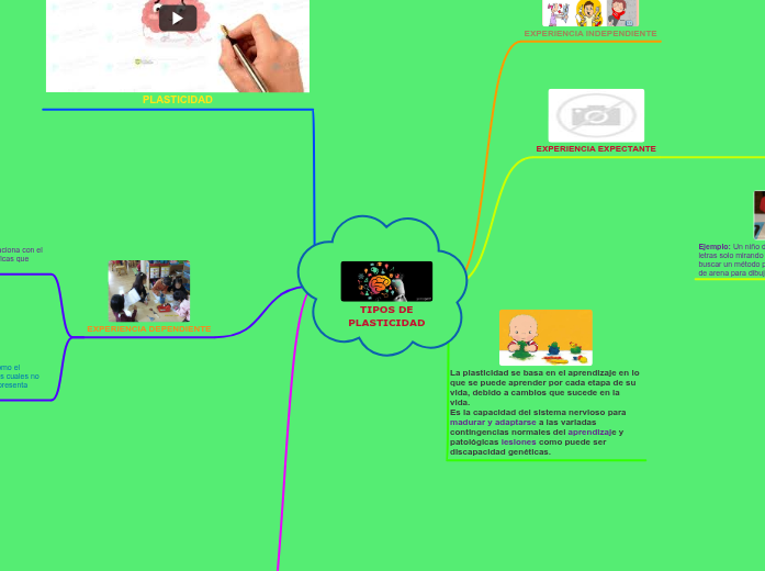 TIPOS DE PLASTICIDAD - Mind Map