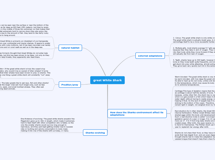 great white shark - Mind Map
