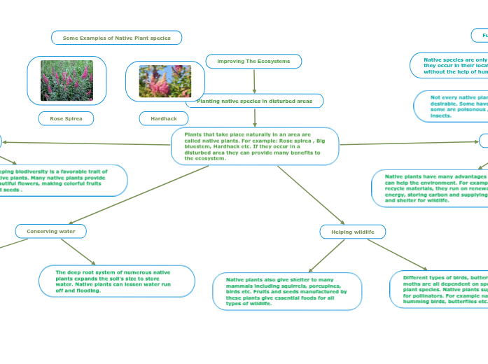 Improving The Ecosystems - Mind Map
