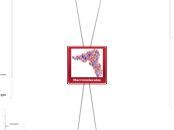 Macromolecules Concept Map - Mind Map