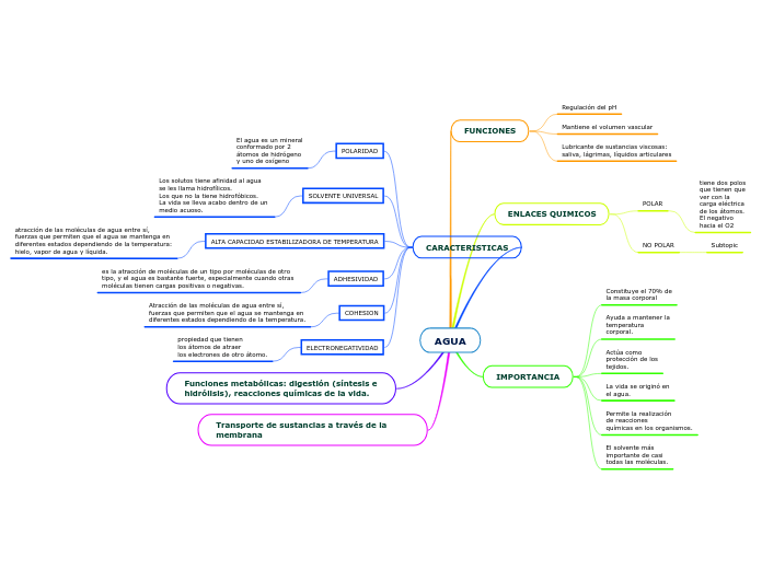 AGUA - Mind Map