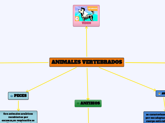 ANIMALES VERTEBRADOS - Mind Map
