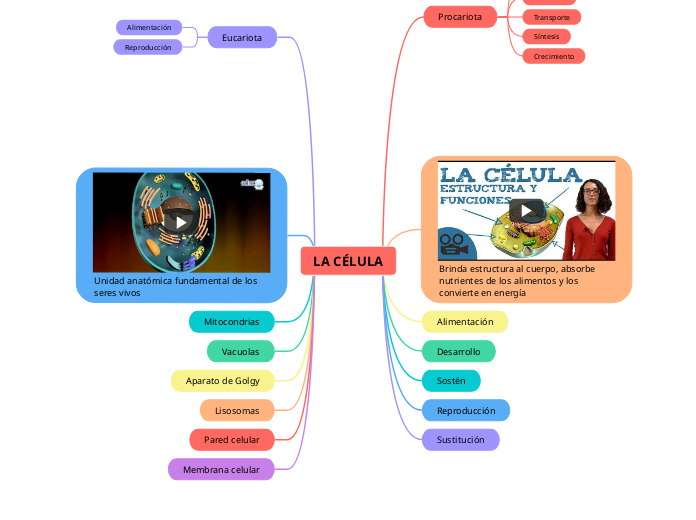 LA CÉLULA - Mind Map