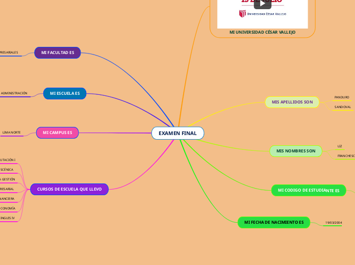 EXAMEN FINAL - Mind Map