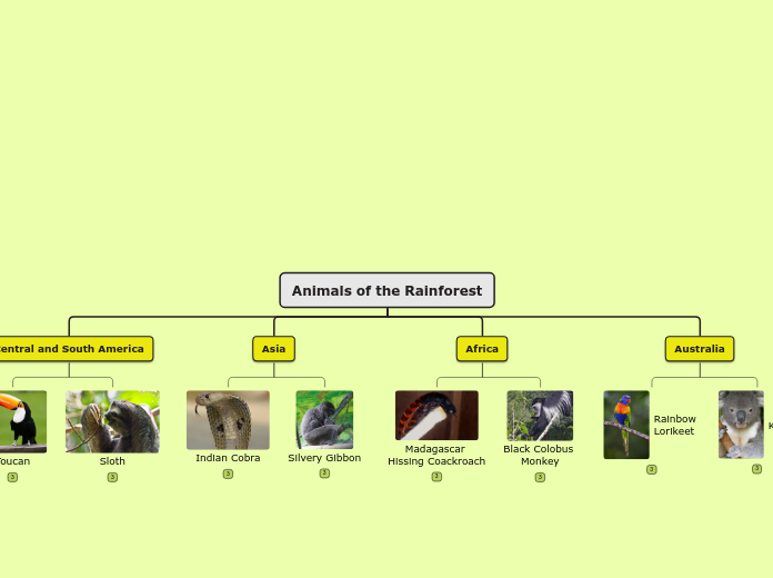 Animals of the Rainforest - Mind Map