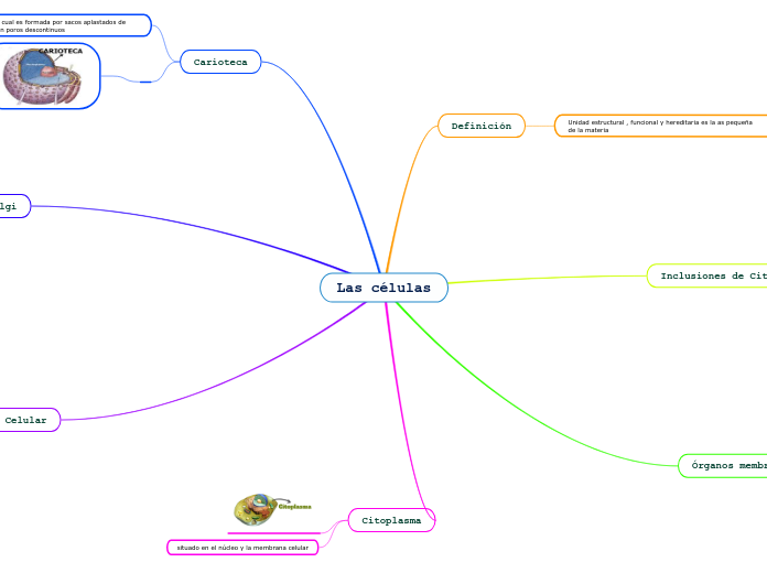 Las células - Mind Map
