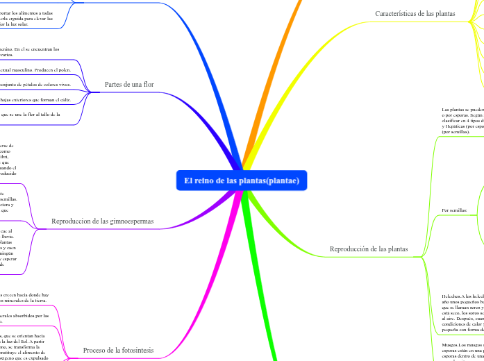 El reino de las plantas(plantae) - Mind Map