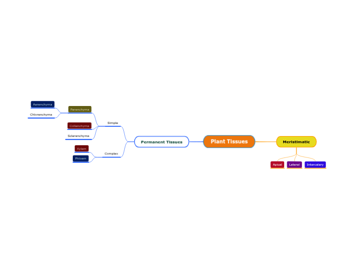 Plant Tissues - Mind Map