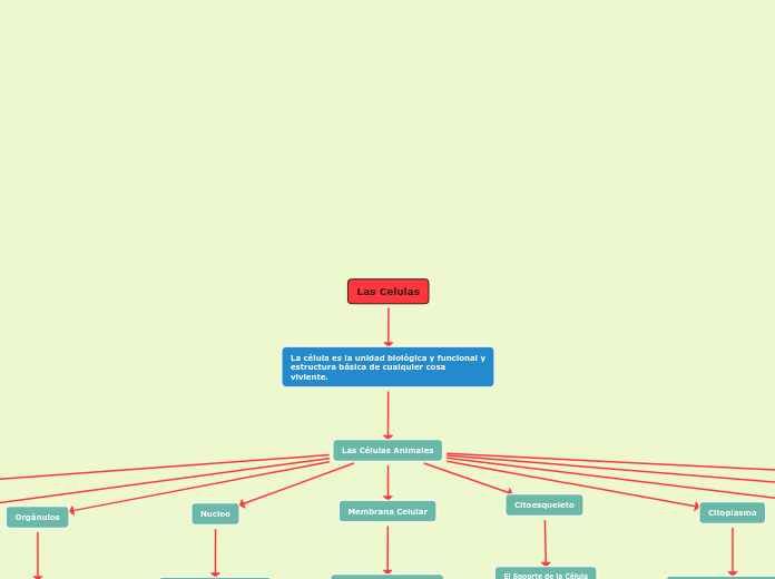 Las Celulas - Mind Map