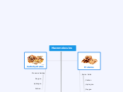 Macromolecules - Mind Map