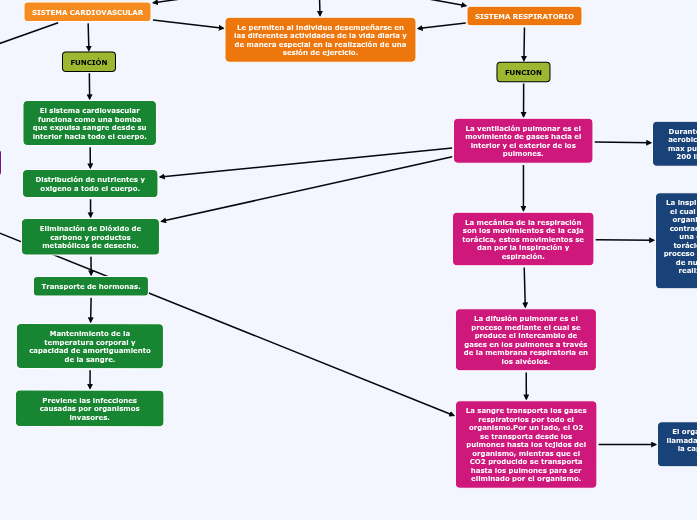 SISTEMA CARDIOVASCULAR - Concept Map