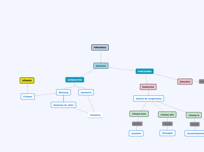 PÁNCREAS - Concept Map